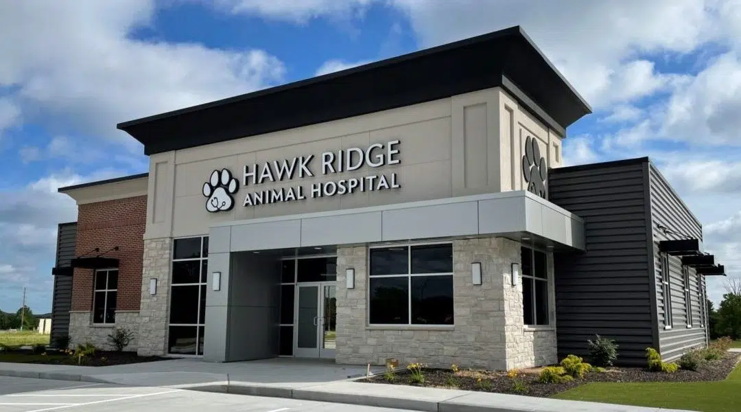 Veterinary Clinic Design Archives - CJB Architecture